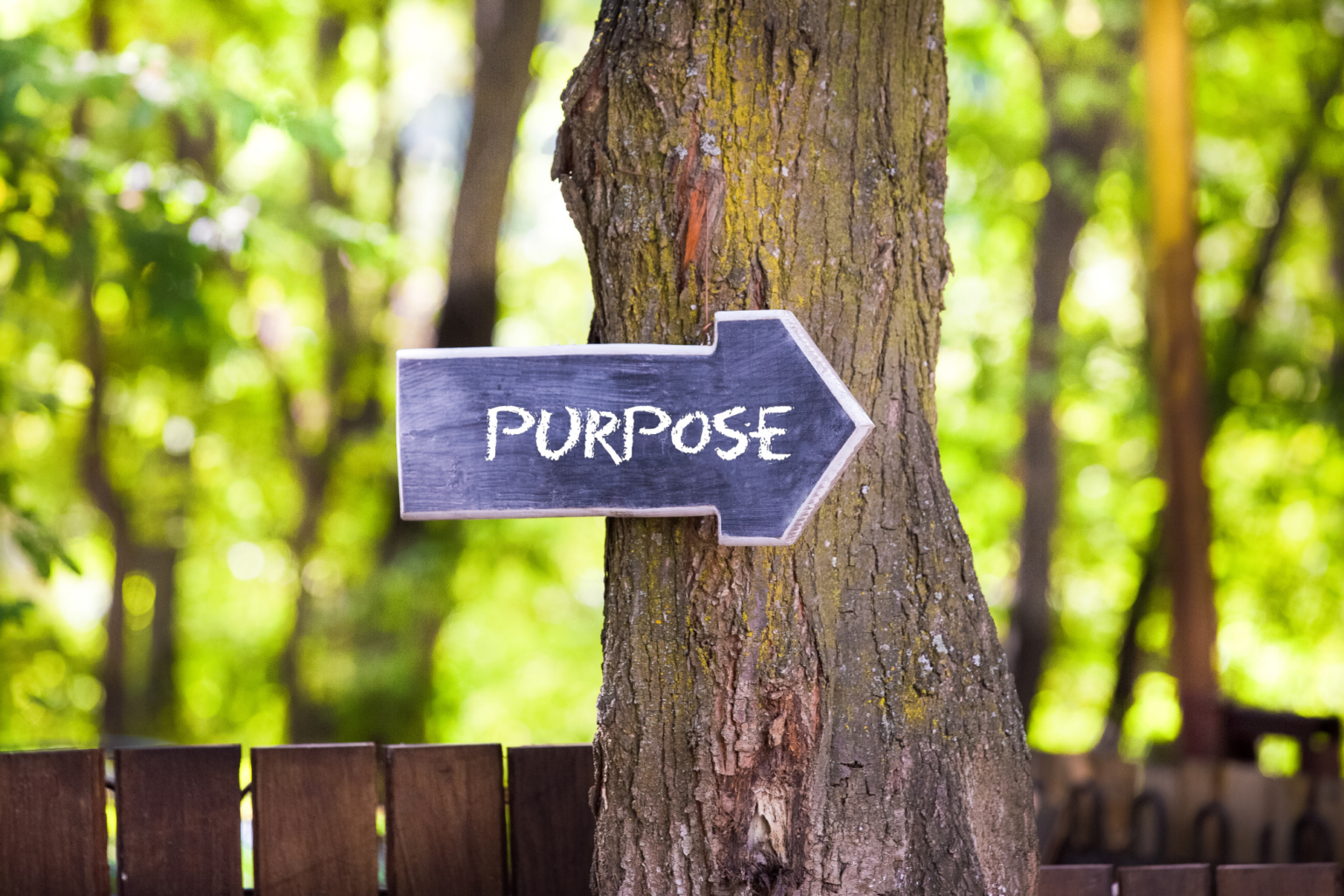 How to Strengthen Your Purpose in Life (Take the Quiz) - Virtues For Life